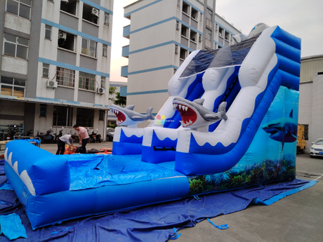Sharks Slide from China manufacturer - Rainbow Inflatables ltd